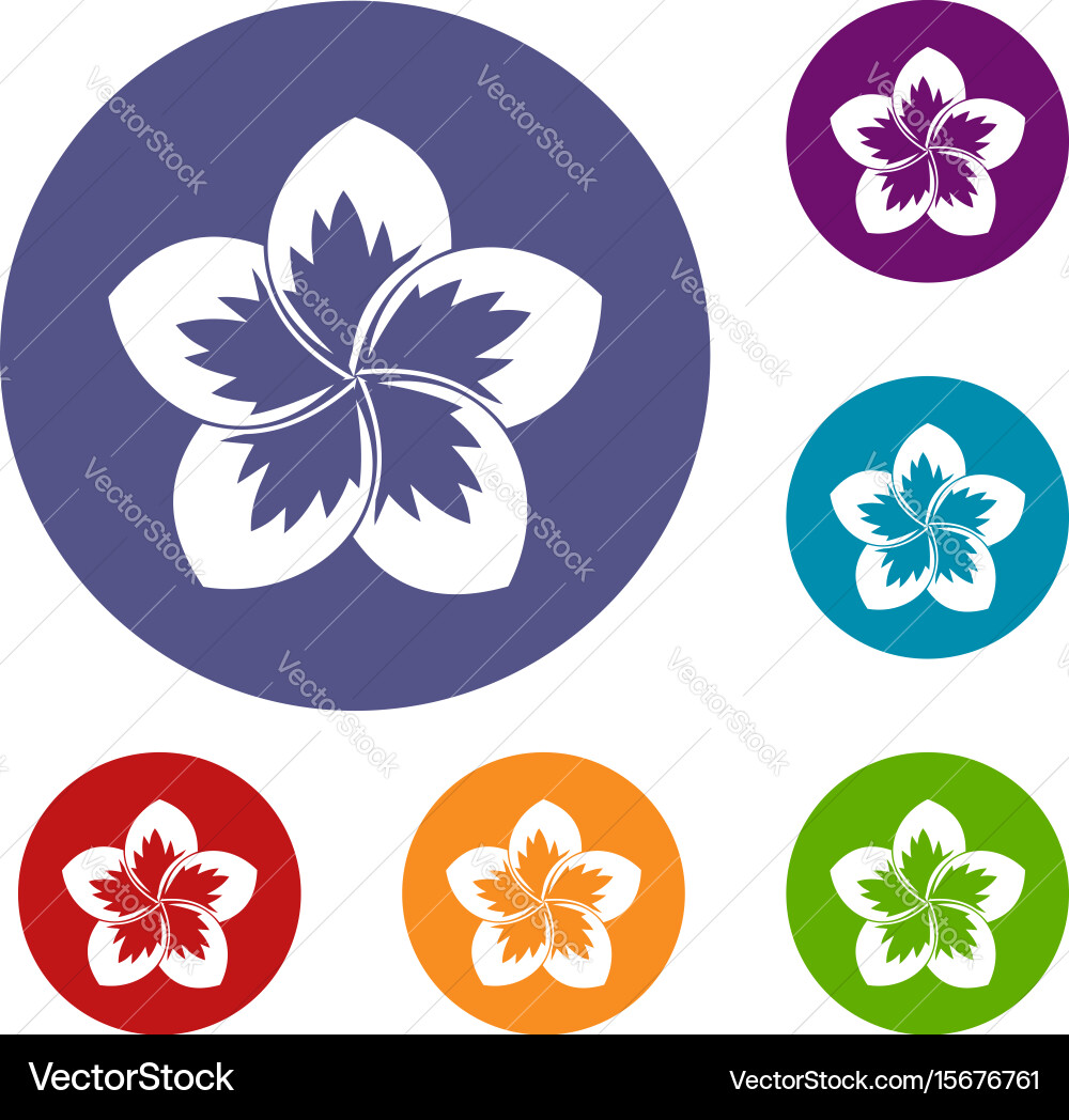Frangipani flower icons set Royalty Free Vector Image