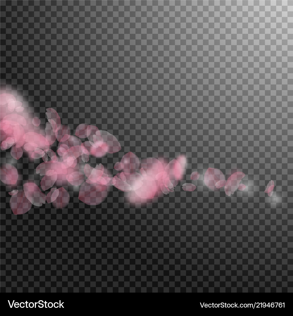 Sakura petals falling down Royalty Free Vector Image