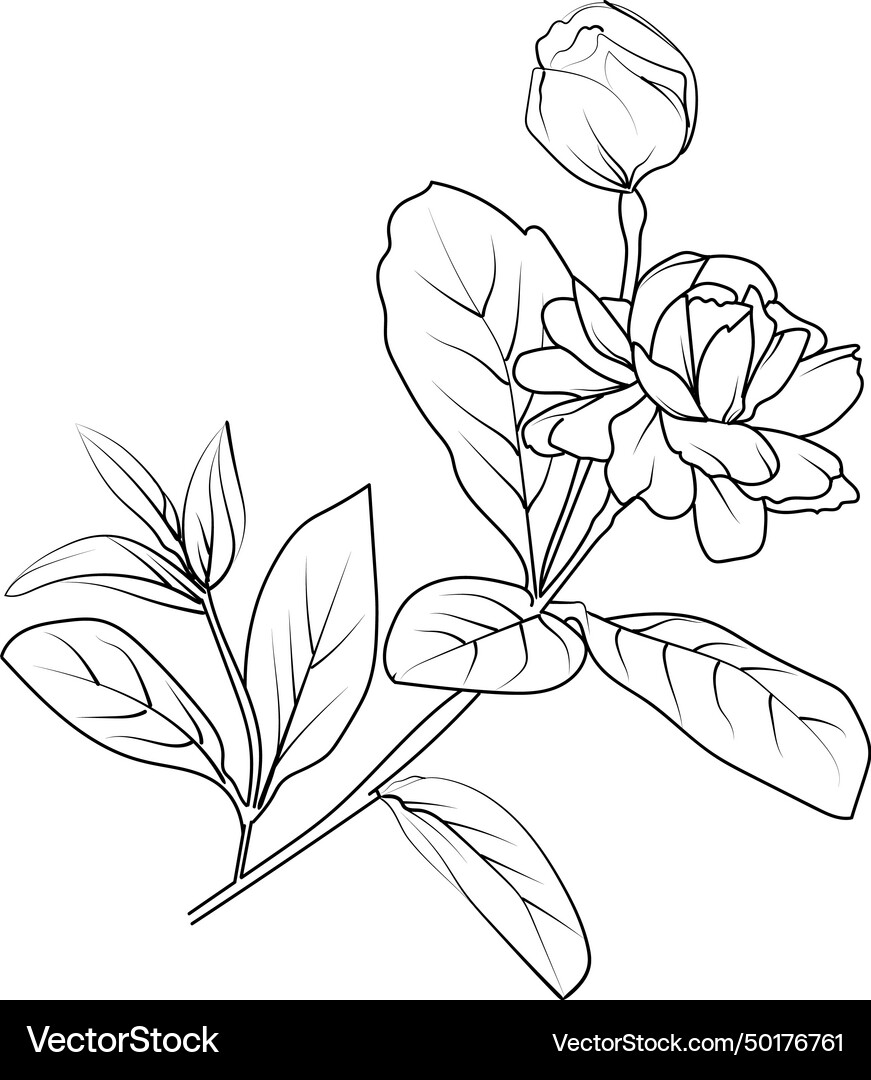 Simple jasmine flower tattoo minimalist Royalty Free Vector
