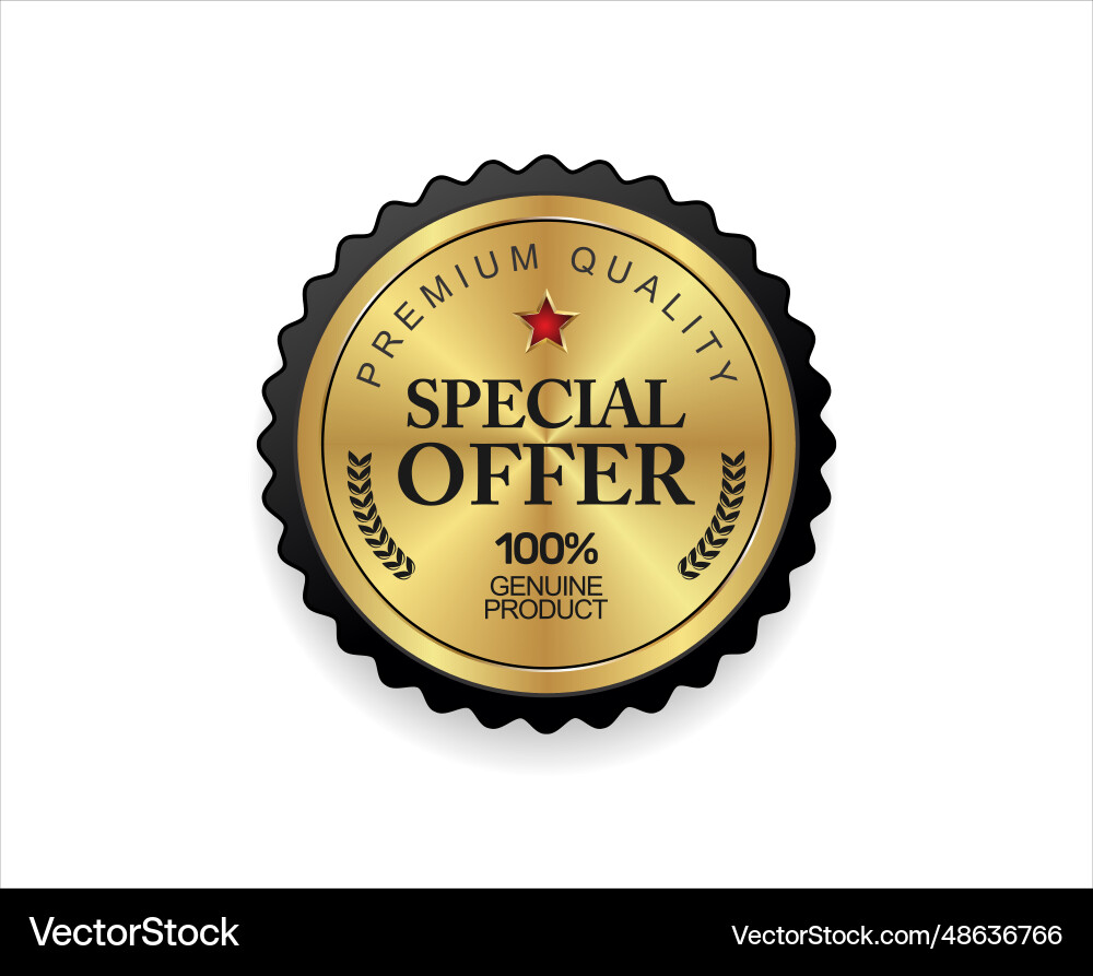High quality emblem or golden badge on white Vector Image
