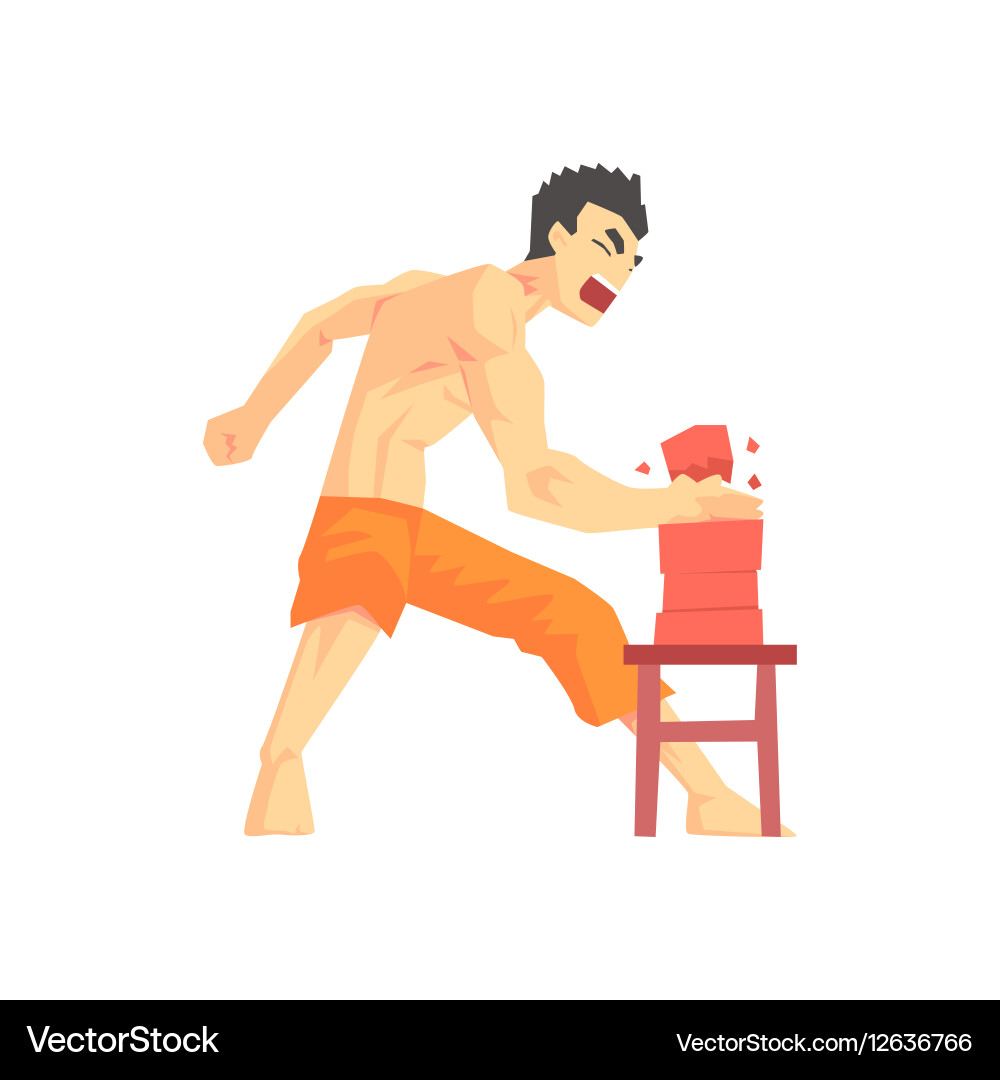Man breaking bricks with hand judo martial arts Vector Image