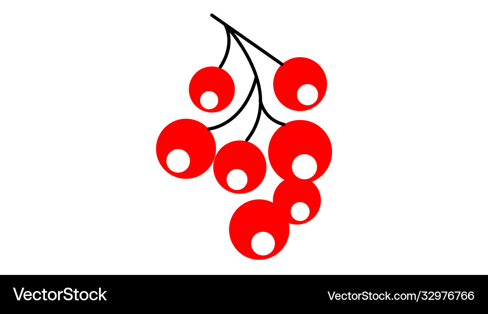 Rowanberry branches with leaves and berries Vector Image