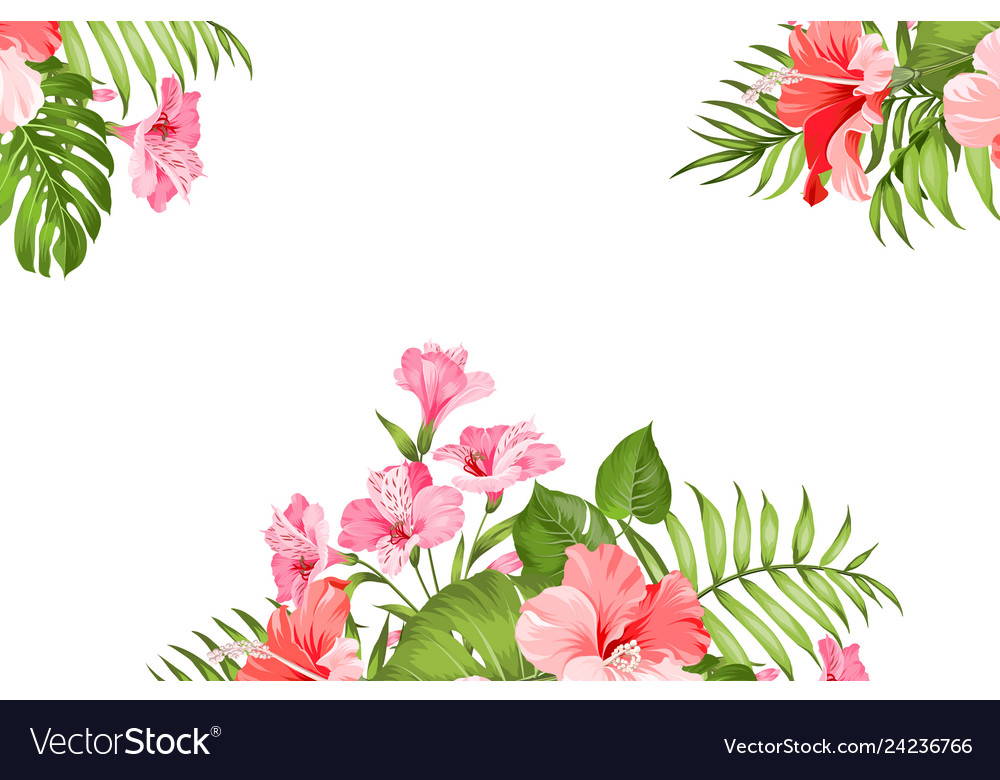 Tropical flower garland isolated over white Vector Image