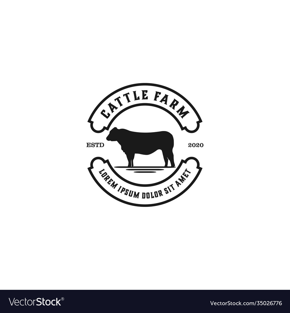 Cattle farm logo design - angus cow beef Vector Image