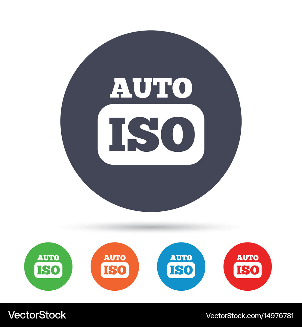 Iso auto photo camera sign icon settings symbol Vector Image