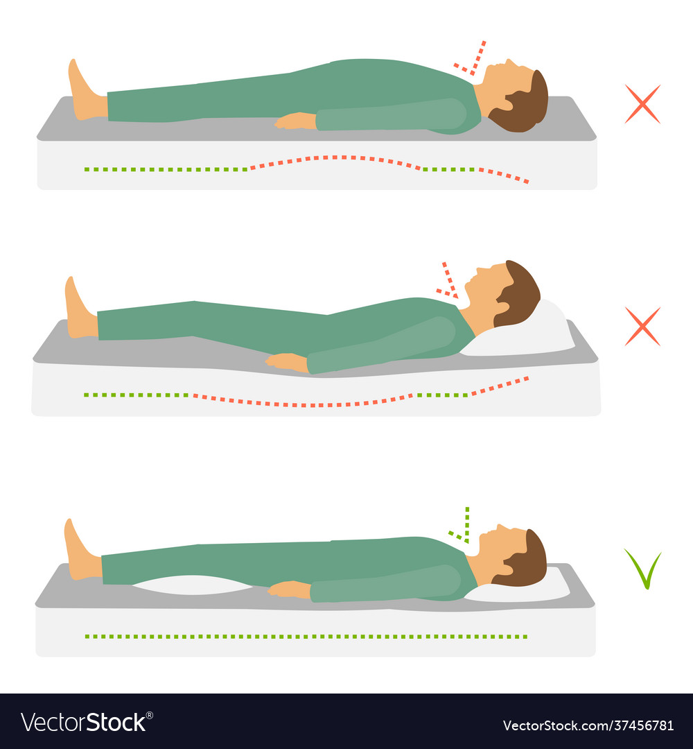 Proper Sleeping Posture Royalty Free Vector Image