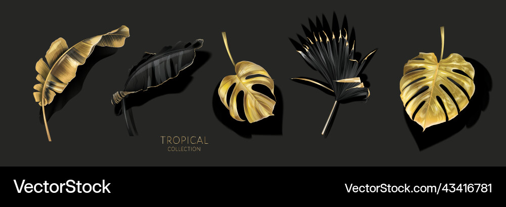 Set with gold black tropical leaves Royalty Free Vector