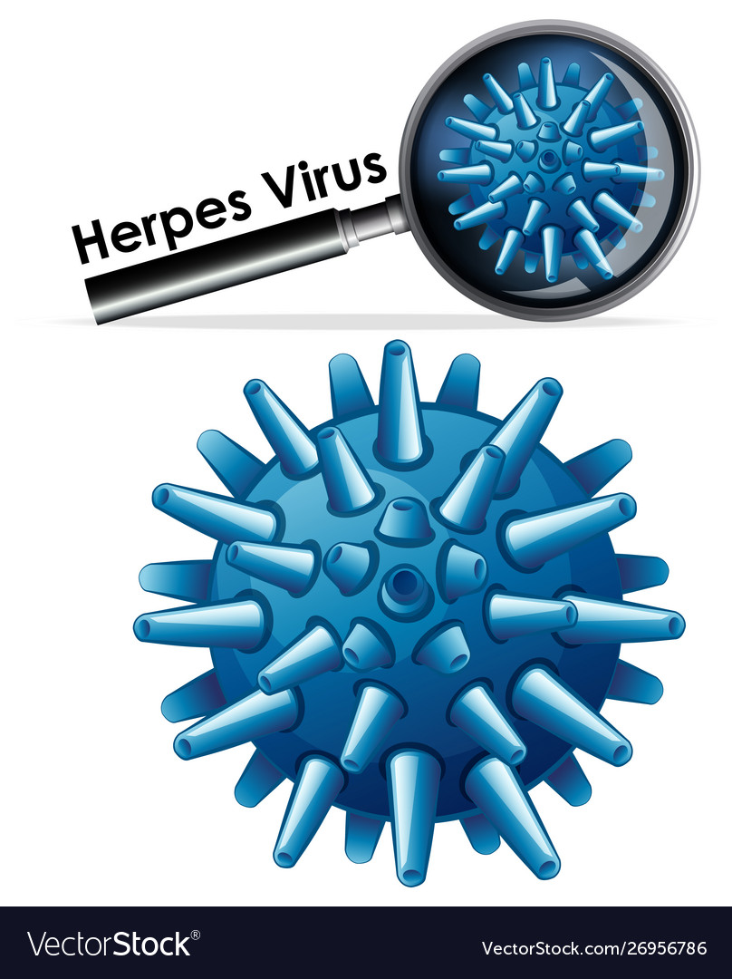 Close up isolated object virus named herpes Vector Image Close up isolated object virus named herpes Vector Image