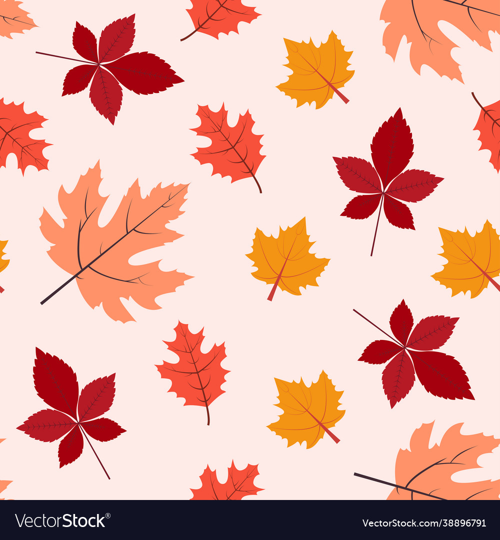 Web Royalty Free Vector Image - VectorStock