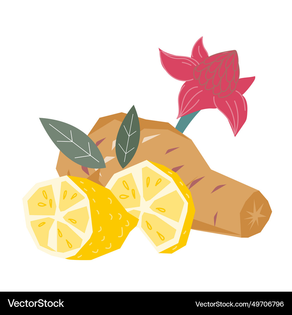 Ginger with lemon flavor mix and ingredients Vector Image