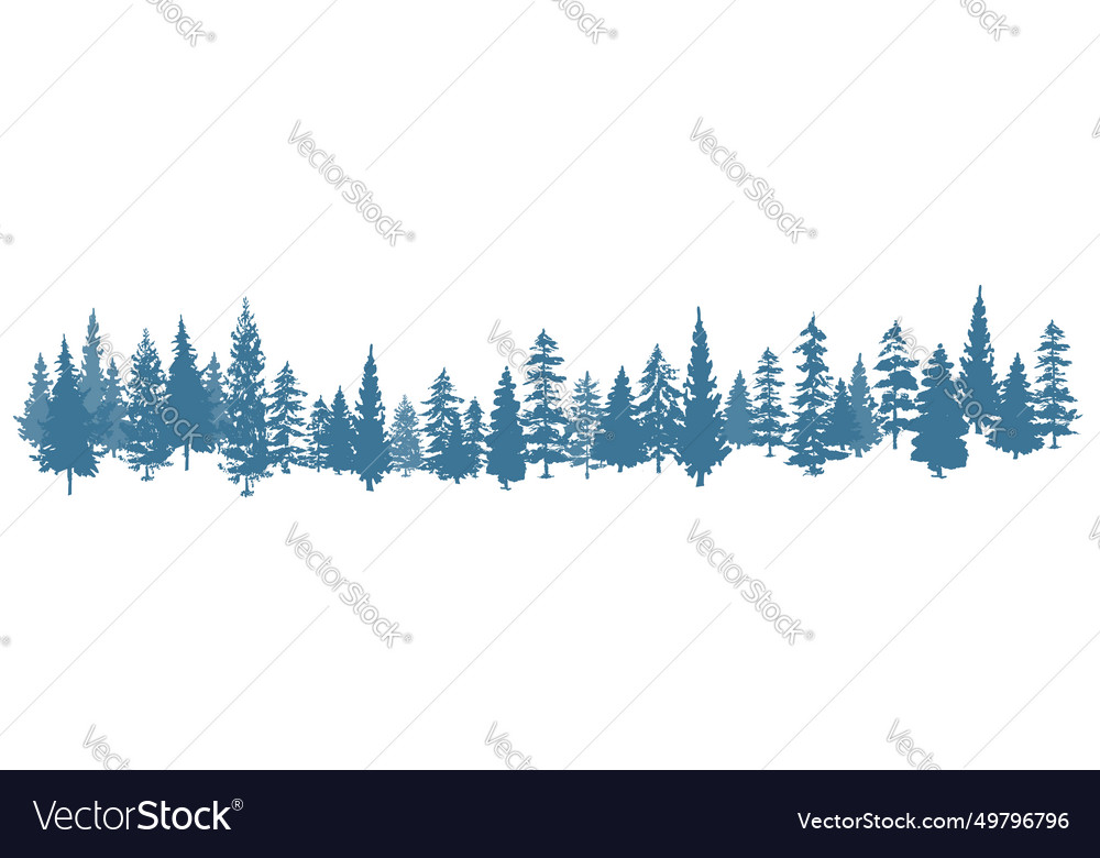 Winter background with pine trees Royalty Free Vector Image
