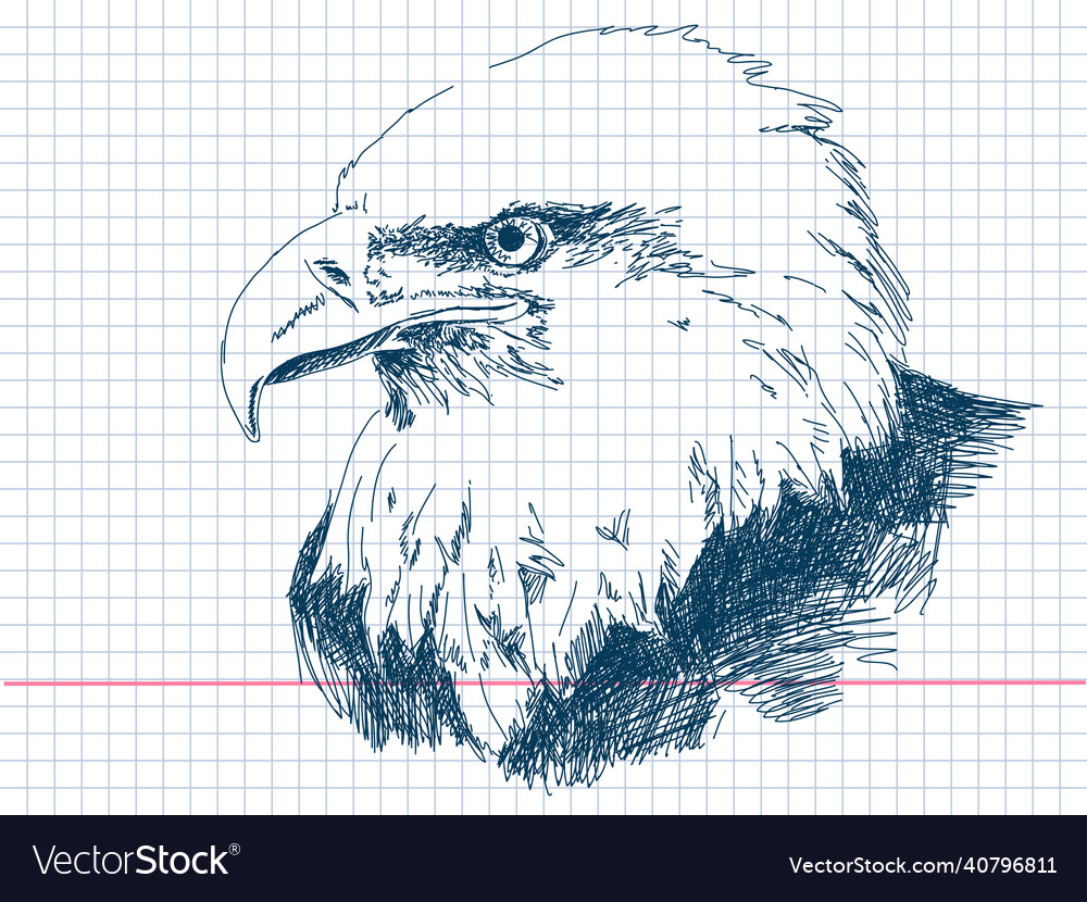 Hand drawn eagle Royalty Free Vector Image - VectorStock