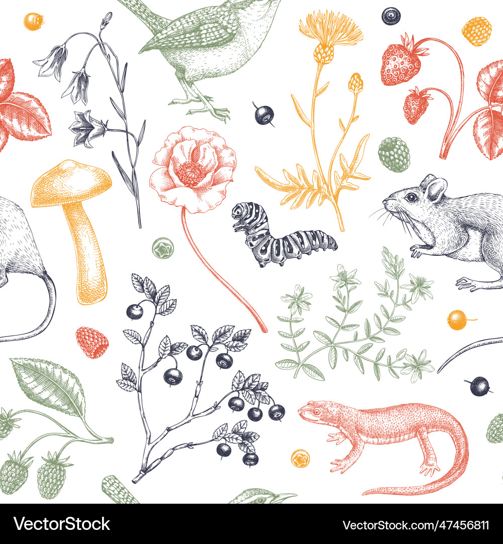 Summer background in color floral texture design Vector Image