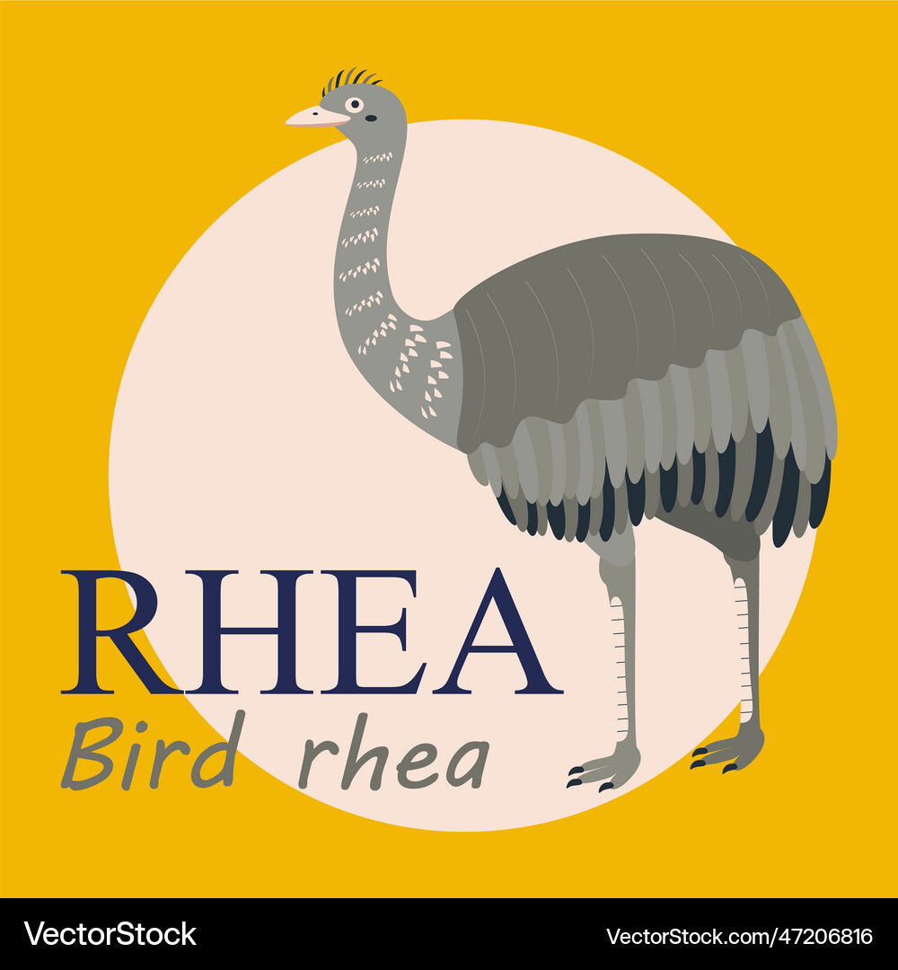 Poster banner with rhea bird and text Royalty Free Vector