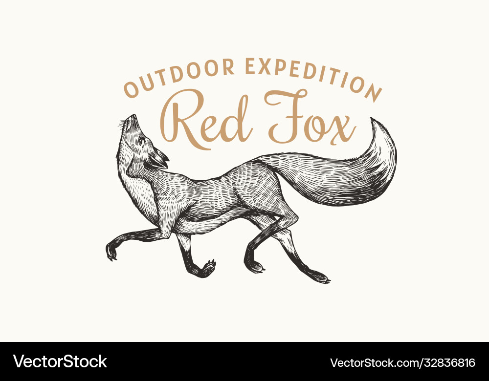 Red fox badge forest ginger wild animal label Vector Image
