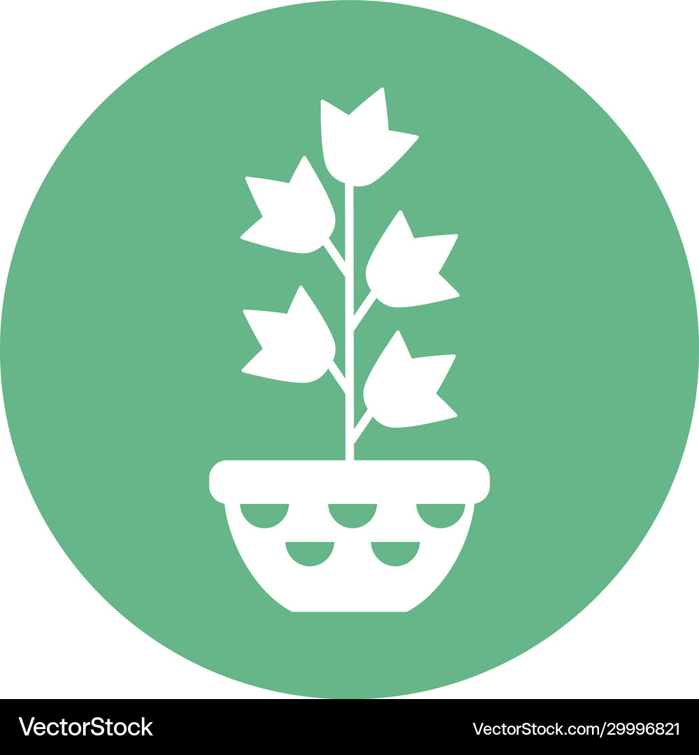 Houseplant with potted block and flat style icon Vector Image