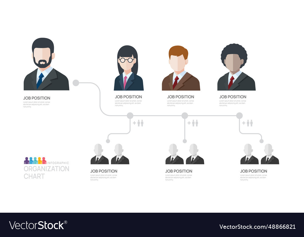 Infographic template for organization chart Vector Image