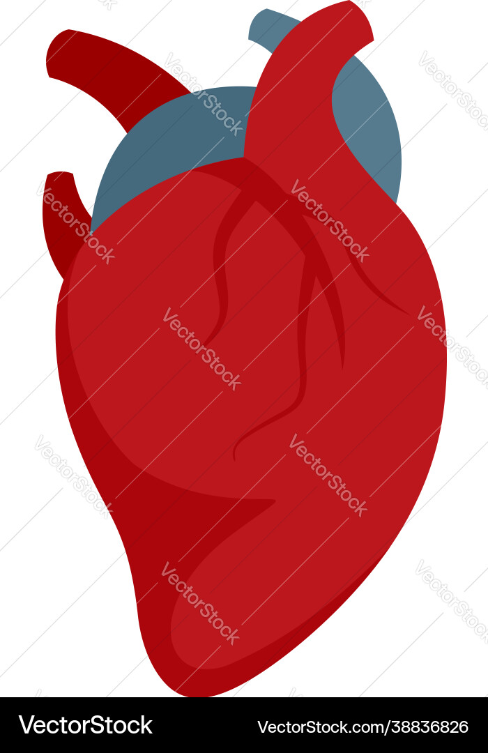 Body human heart icon flat isolated Royalty Free Vector