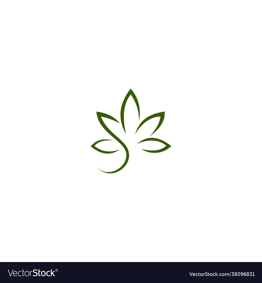 Cbd leaf Royalty Free Vector Image - VectorStock