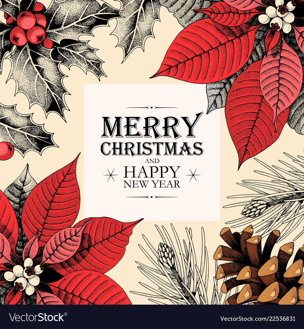 Christmas card with holly and pine cones Vector Image