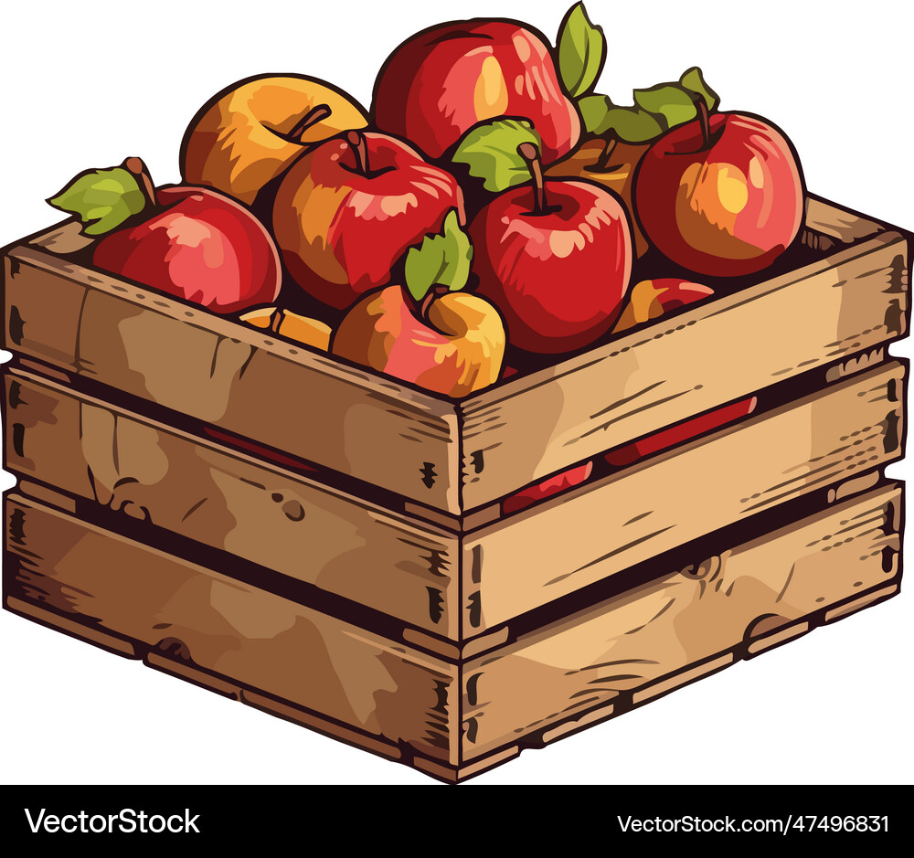 Freshly harvested organic apples basket Royalty Free Vector