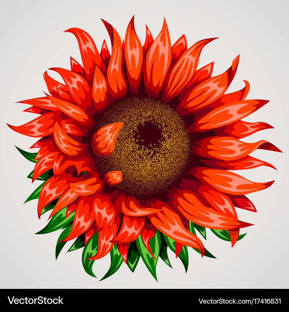 Realistic beautiful flower red flower summer Vector Image