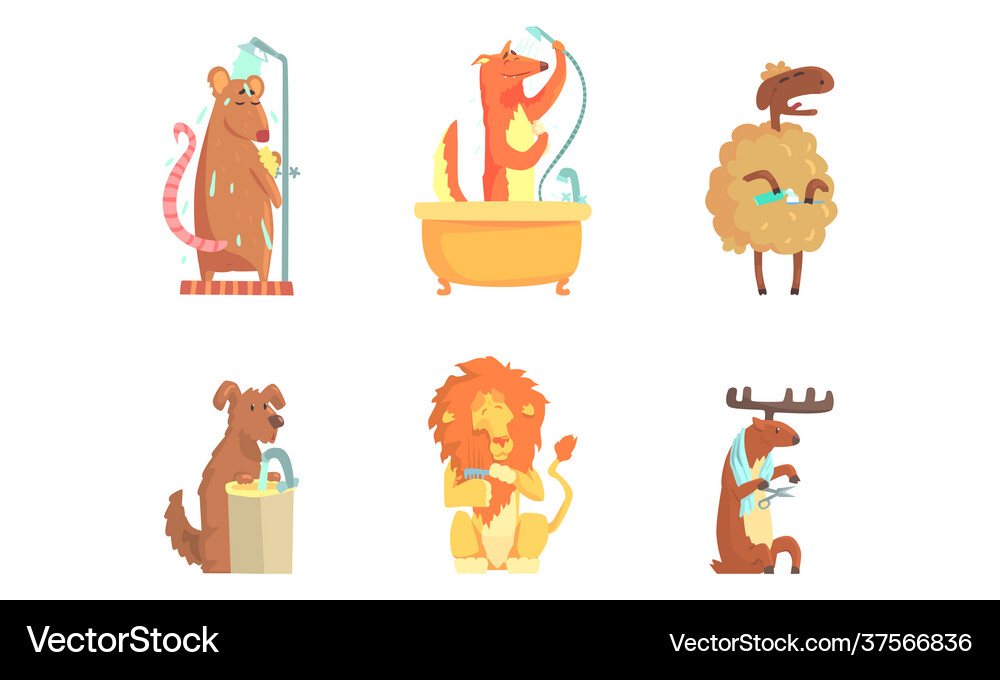 Cute animals grooming bathing and washing Vector Image