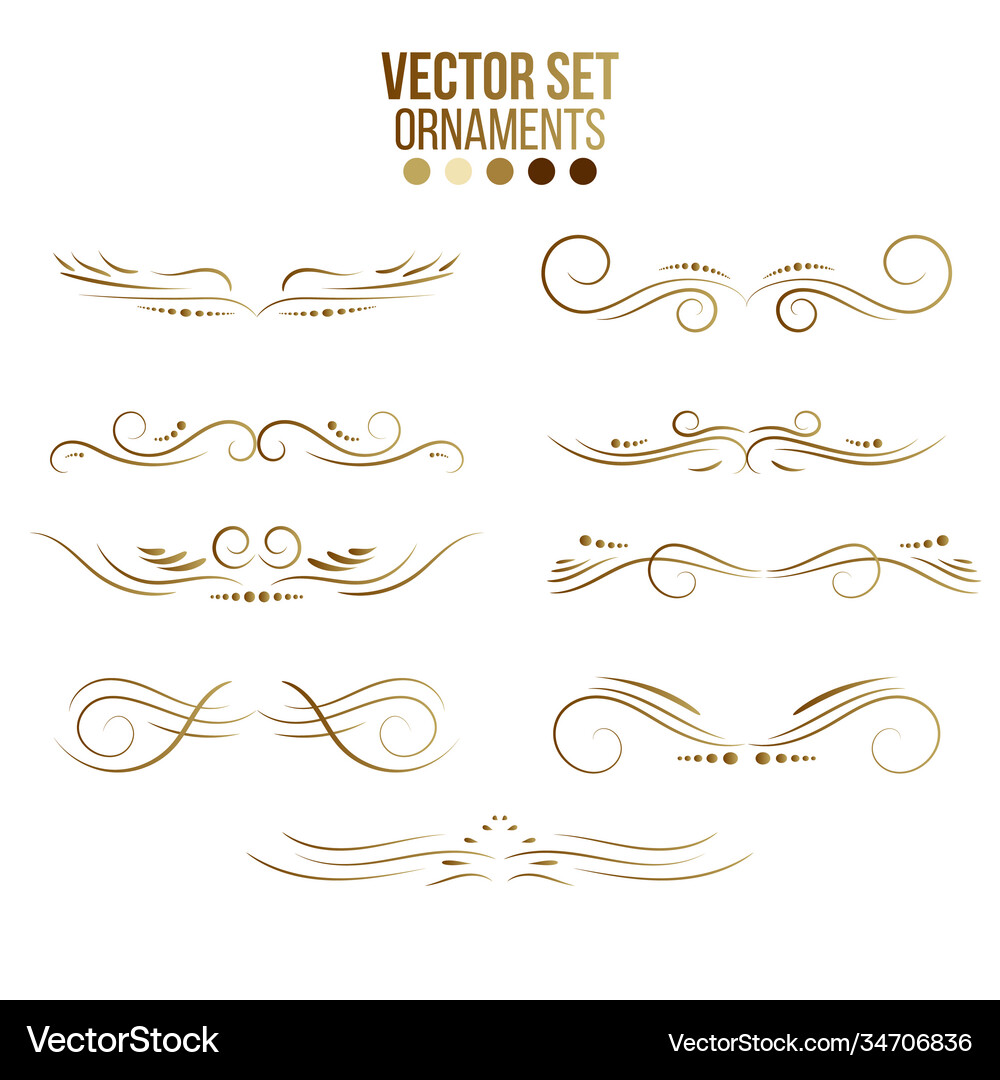 Gold rule lines and ornaments collection Vector Image