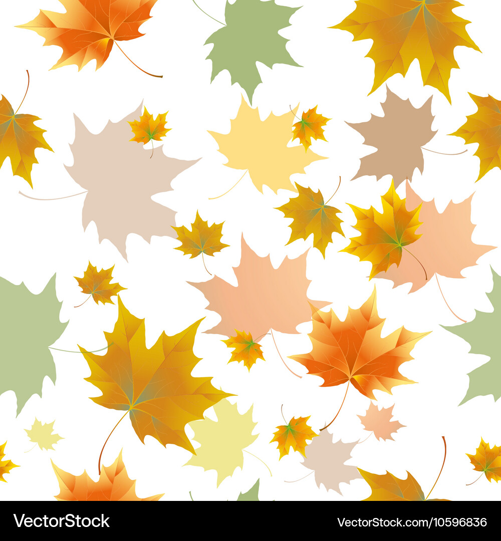 Seamless background pattern of autumn leaves Vector Image