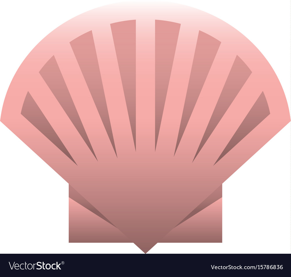 Seashell icon Royalty Free Vector Image - VectorStock