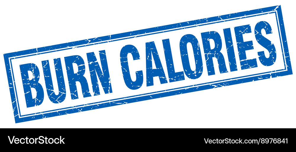 Burn calories blue square grunge stamp on white Vector Image