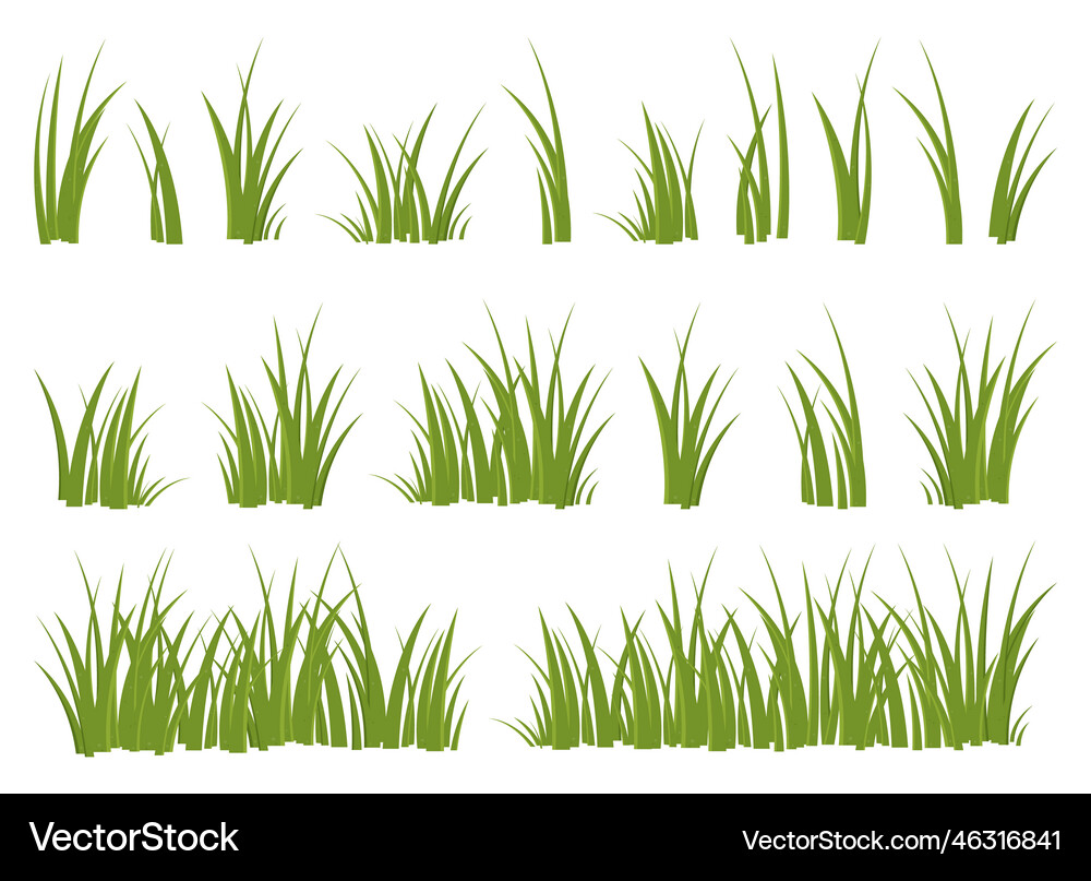 Cartoon grass leaves collection isolated on white Vector Image