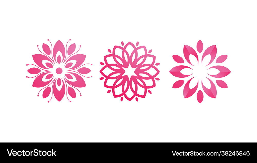 Beautiful pink flowers logo design template Vector Image