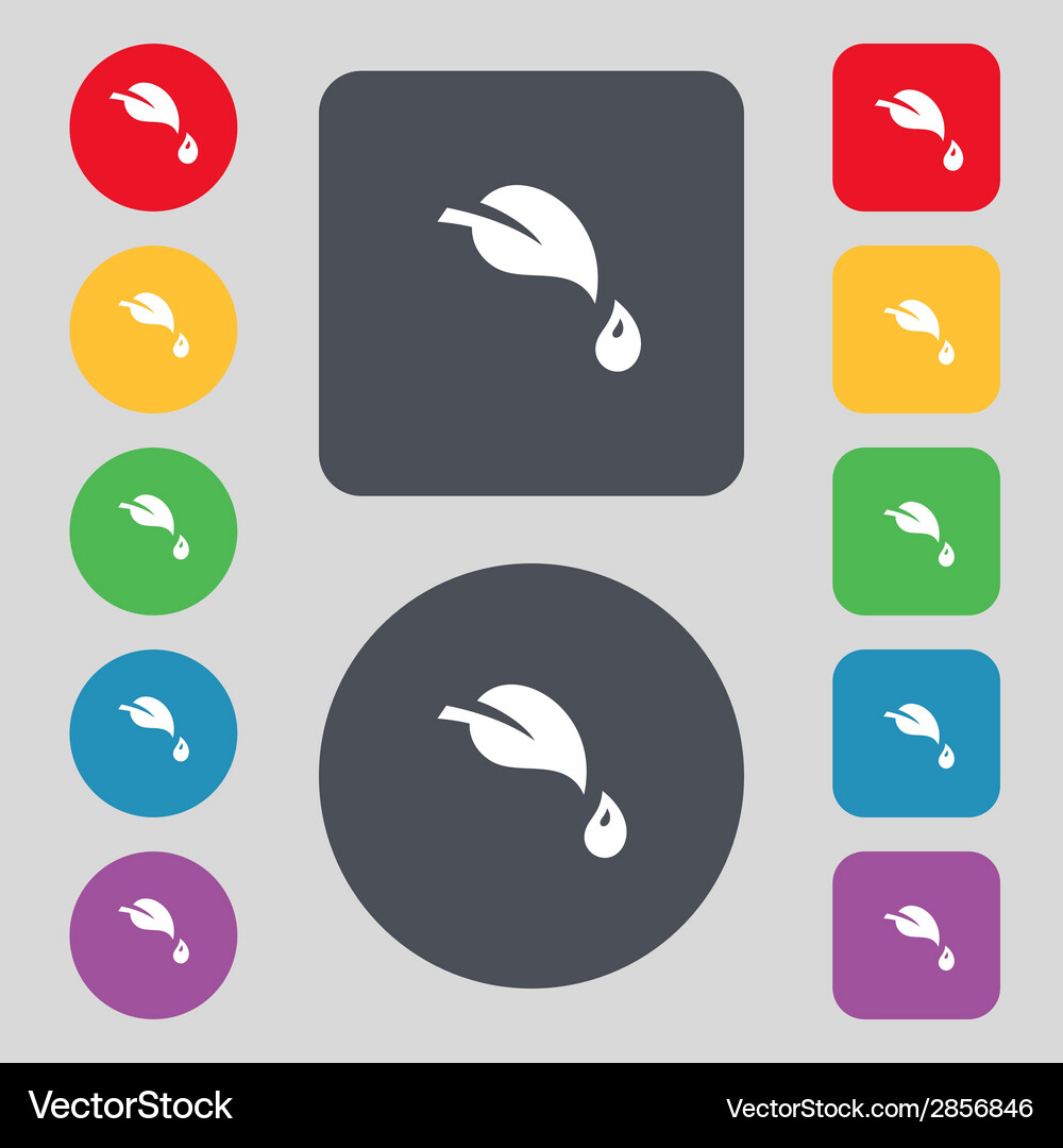 Leaf sign icon fresh natural product symbol set Vector Image