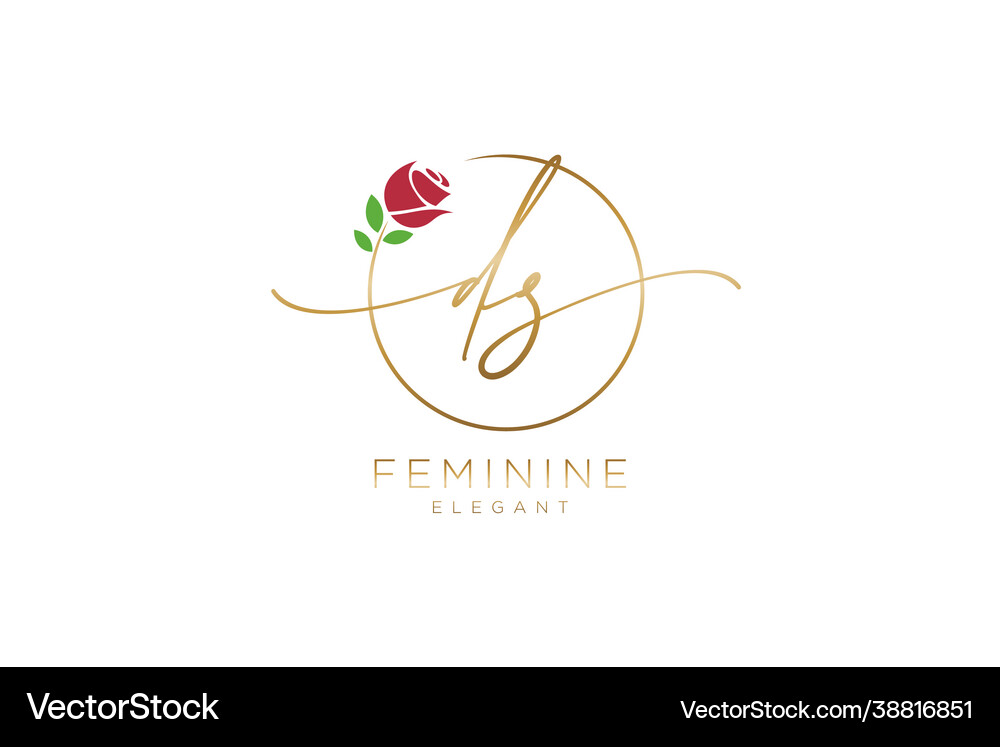 Initial ds feminine logo beauty monogram Vector Image