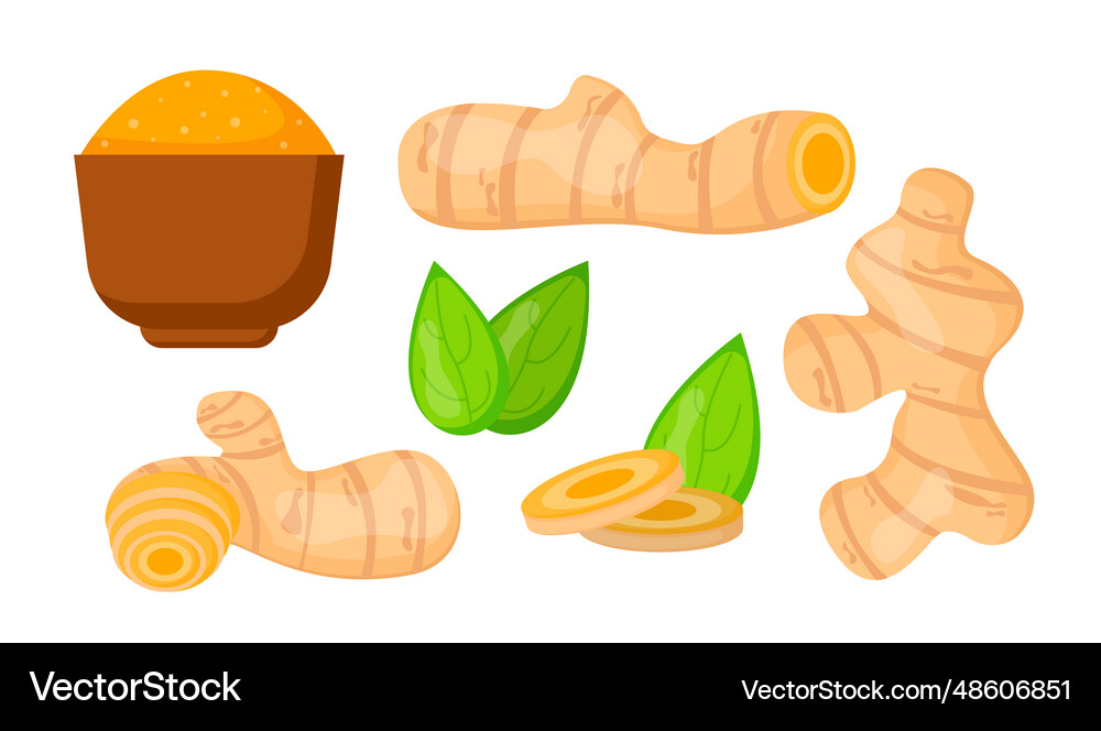 Set of turmeric concept Royalty Free Vector Image