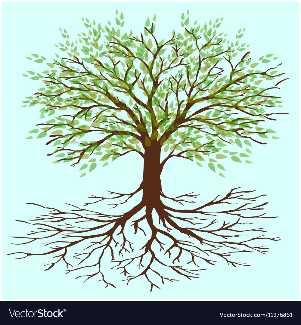 Tree of life Royalty Free Vector Image - VectorStock
