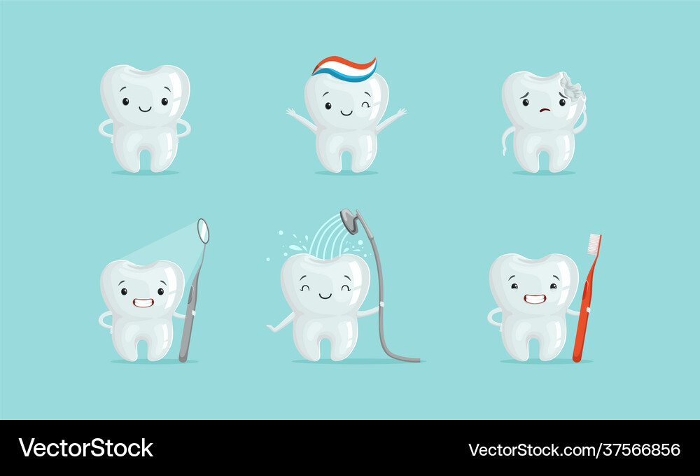 Cute white tooth character holding toothbrush Vector Image