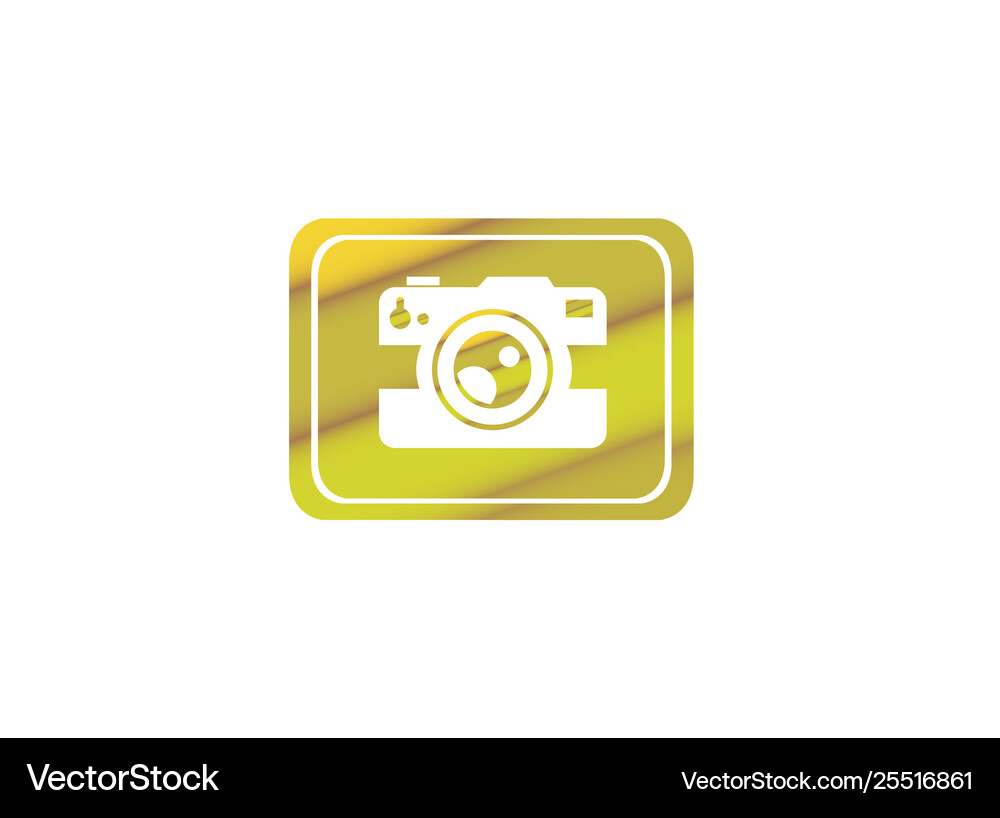 Photographe an old style camera logo design Vector Image