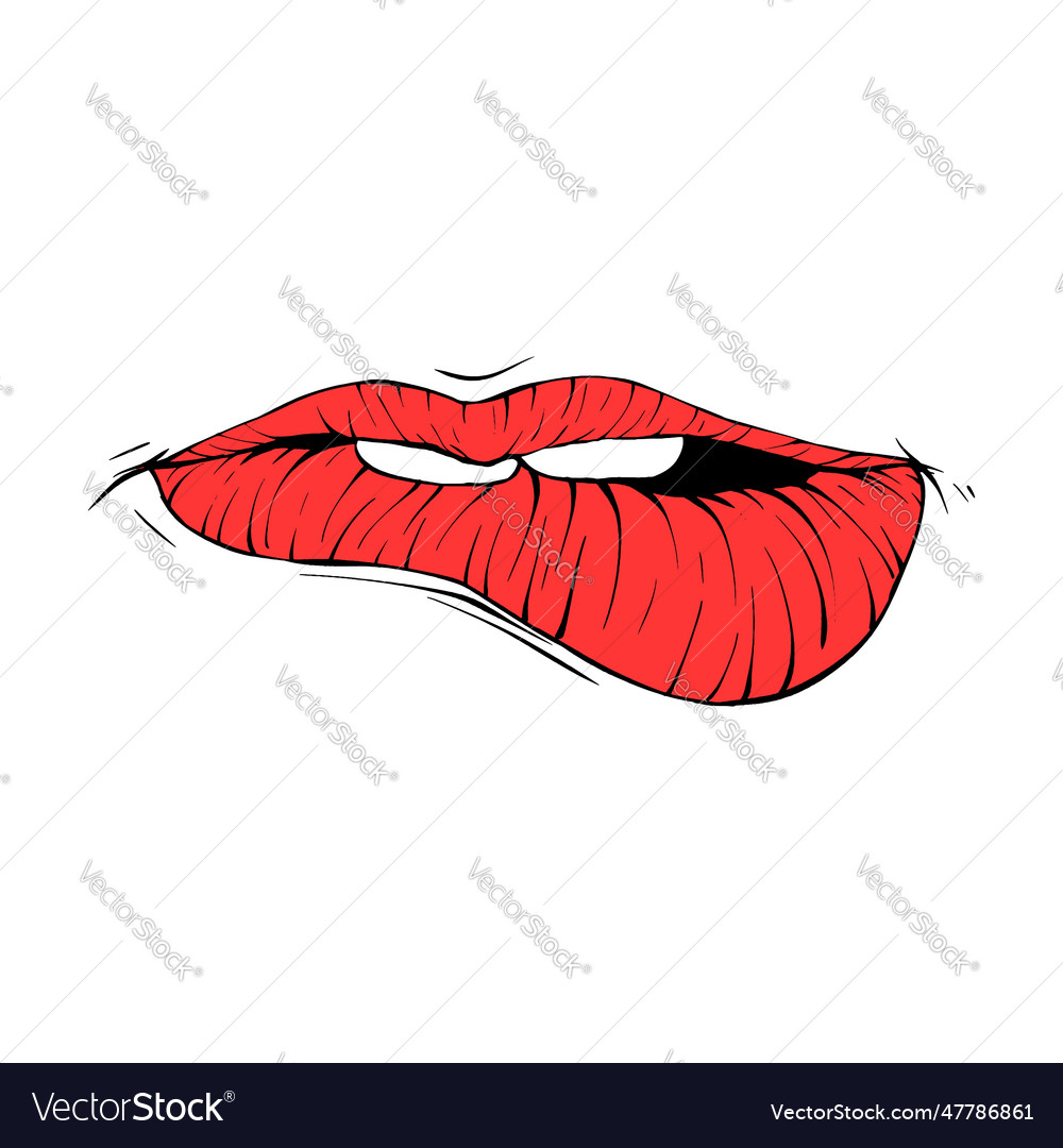 Red Female Lips Sketch Line Art Royalty Free Vector Image
