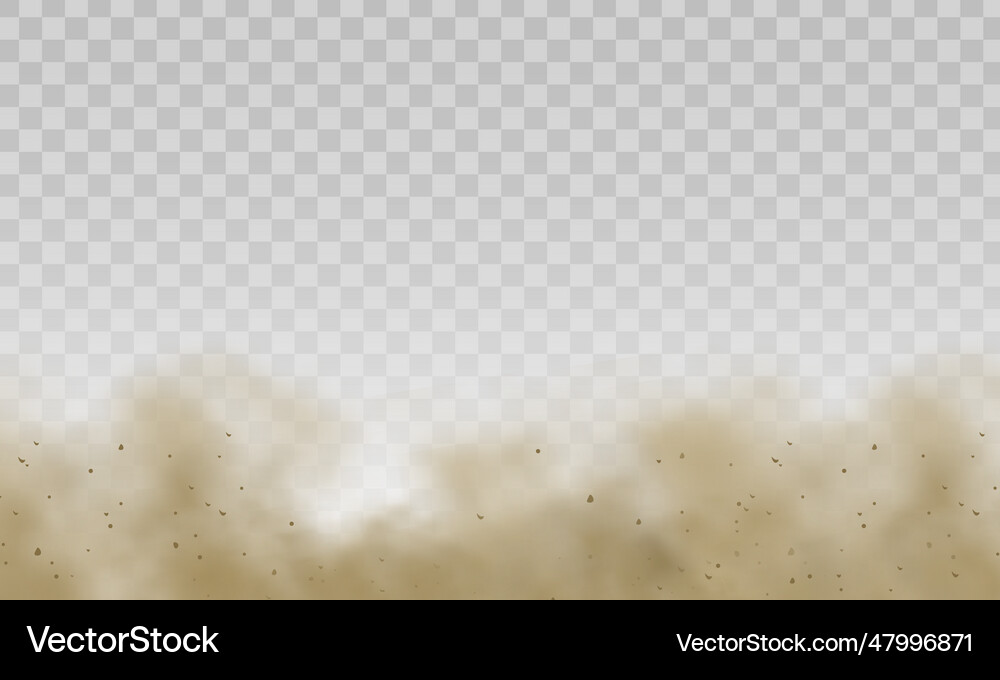 Flying sand brown dusty cloud or dry sand flying Vector Image