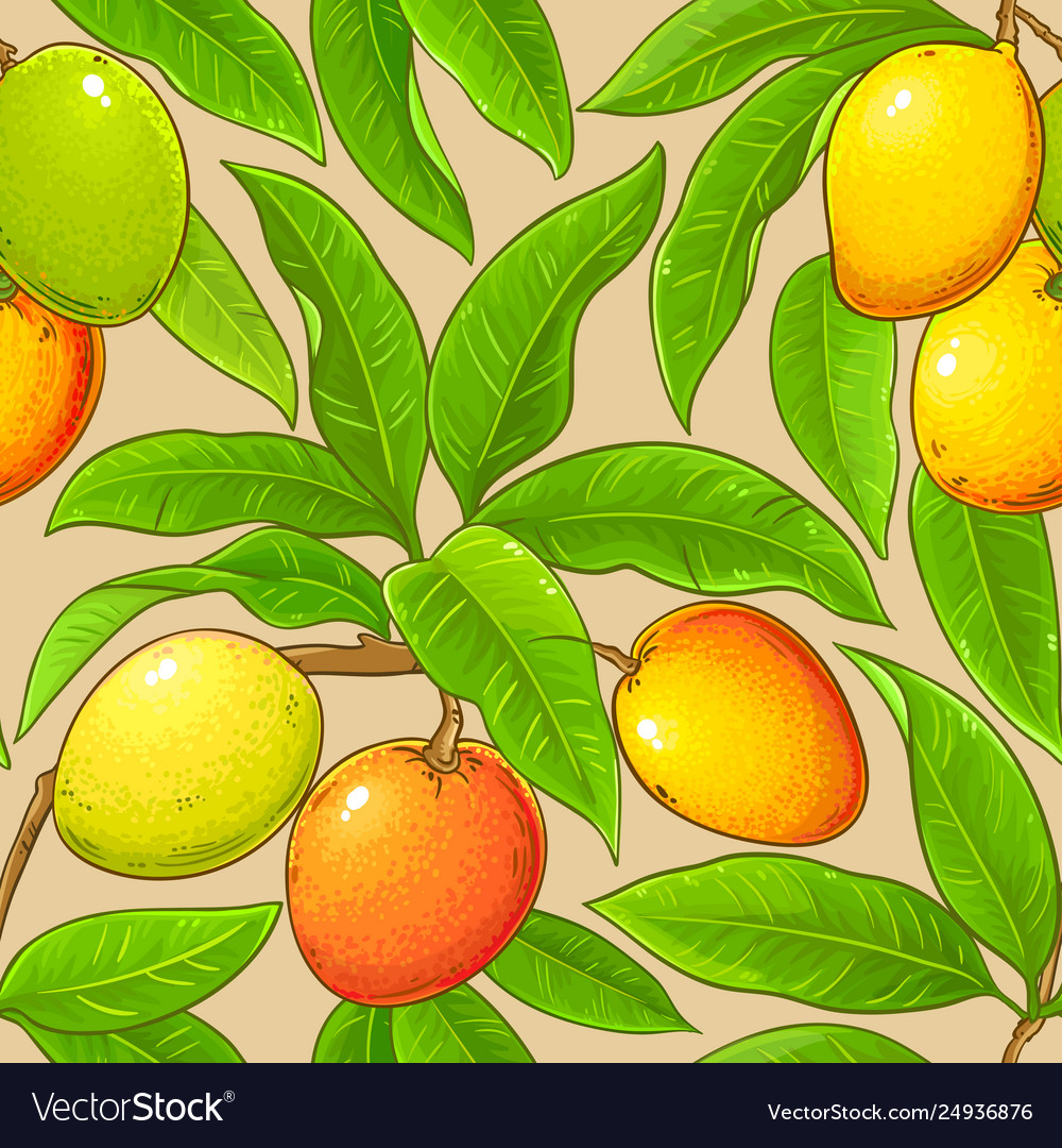 Mango branches pattern on color background Vector Image