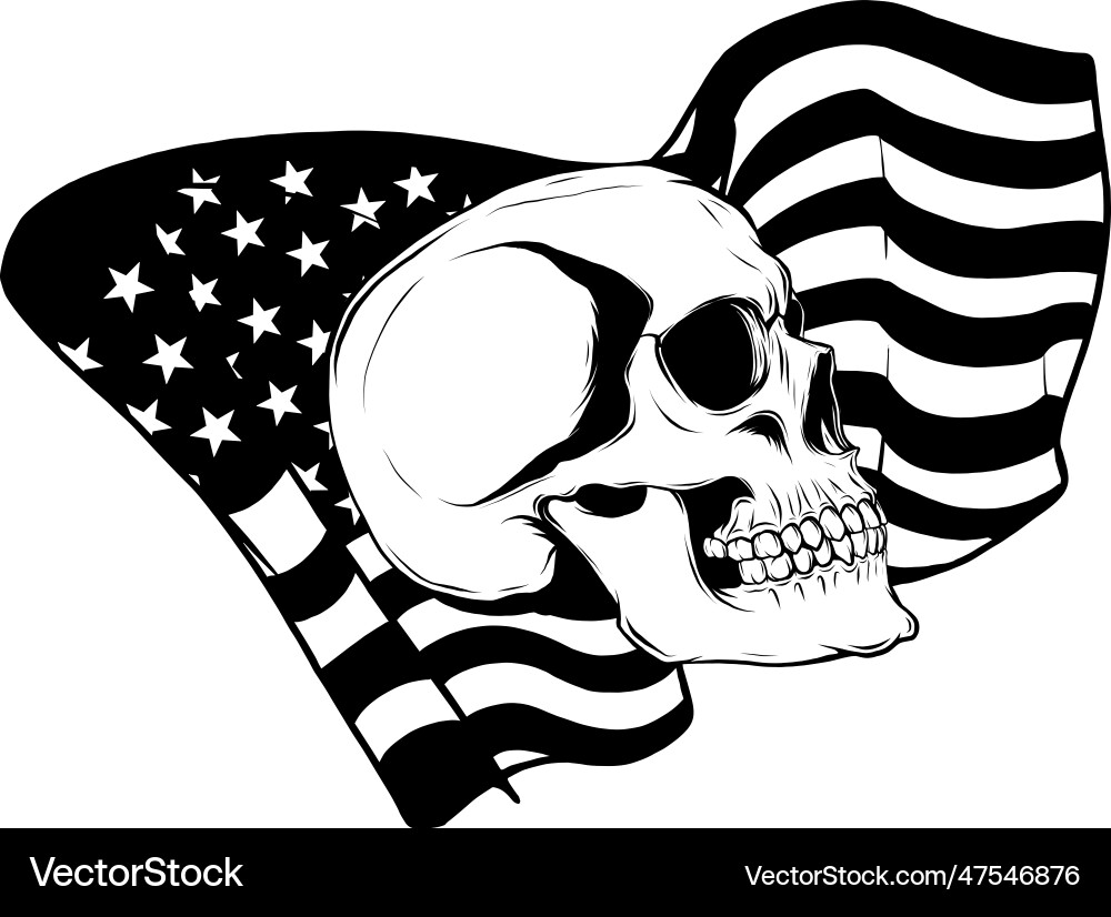 Of outline human skull design Royalty Free Vector Image