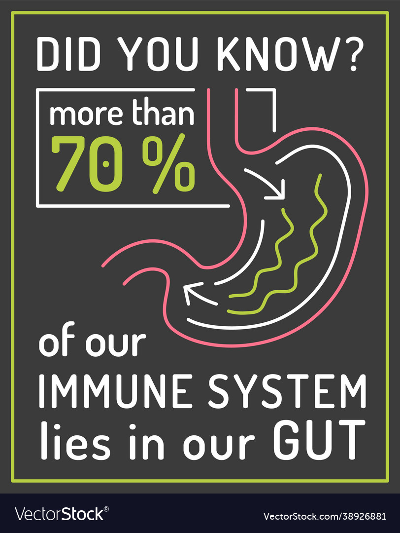More Than 70 Percent Our Immune System Royalty Free Vector