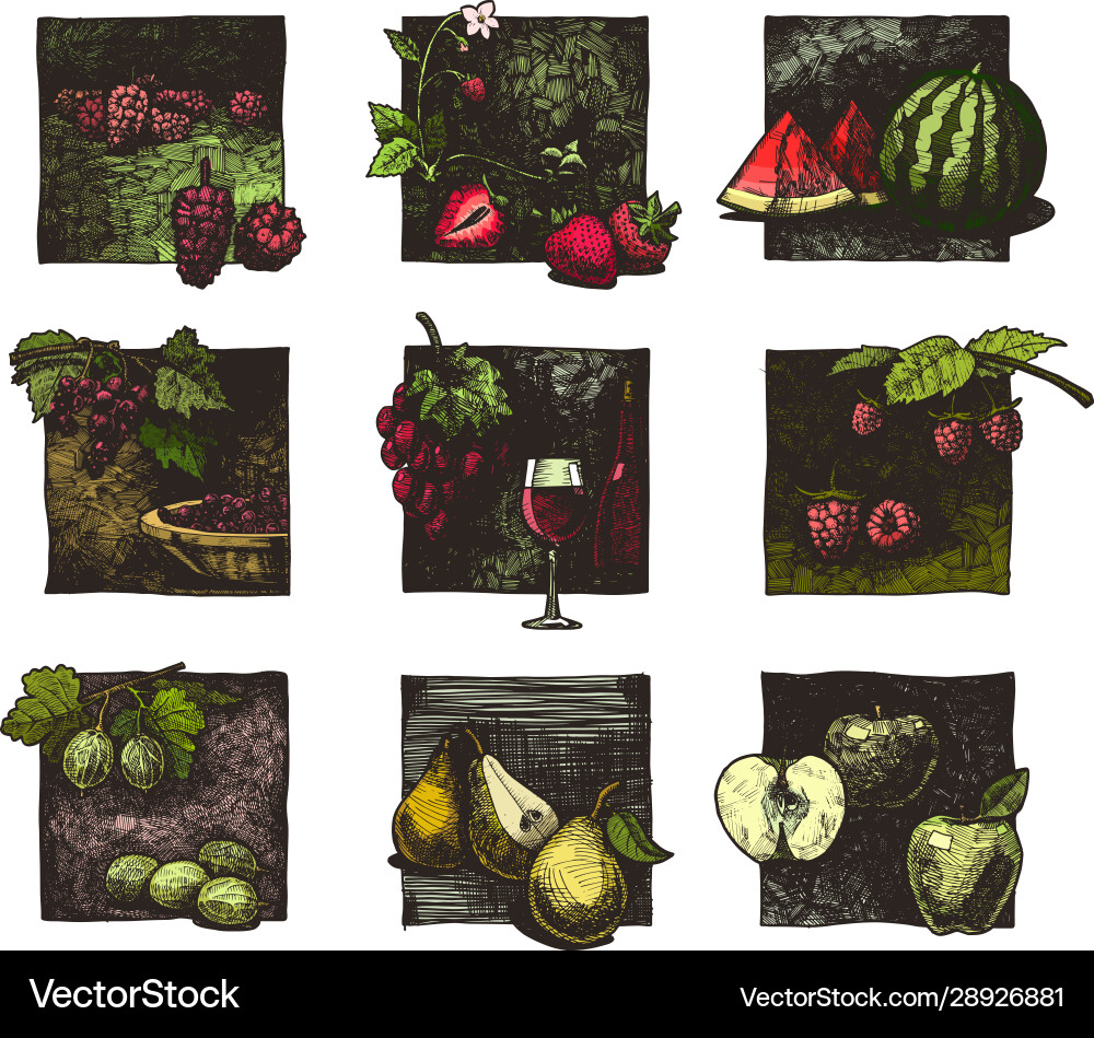 Set berries and fruits Royalty Free Vector Image