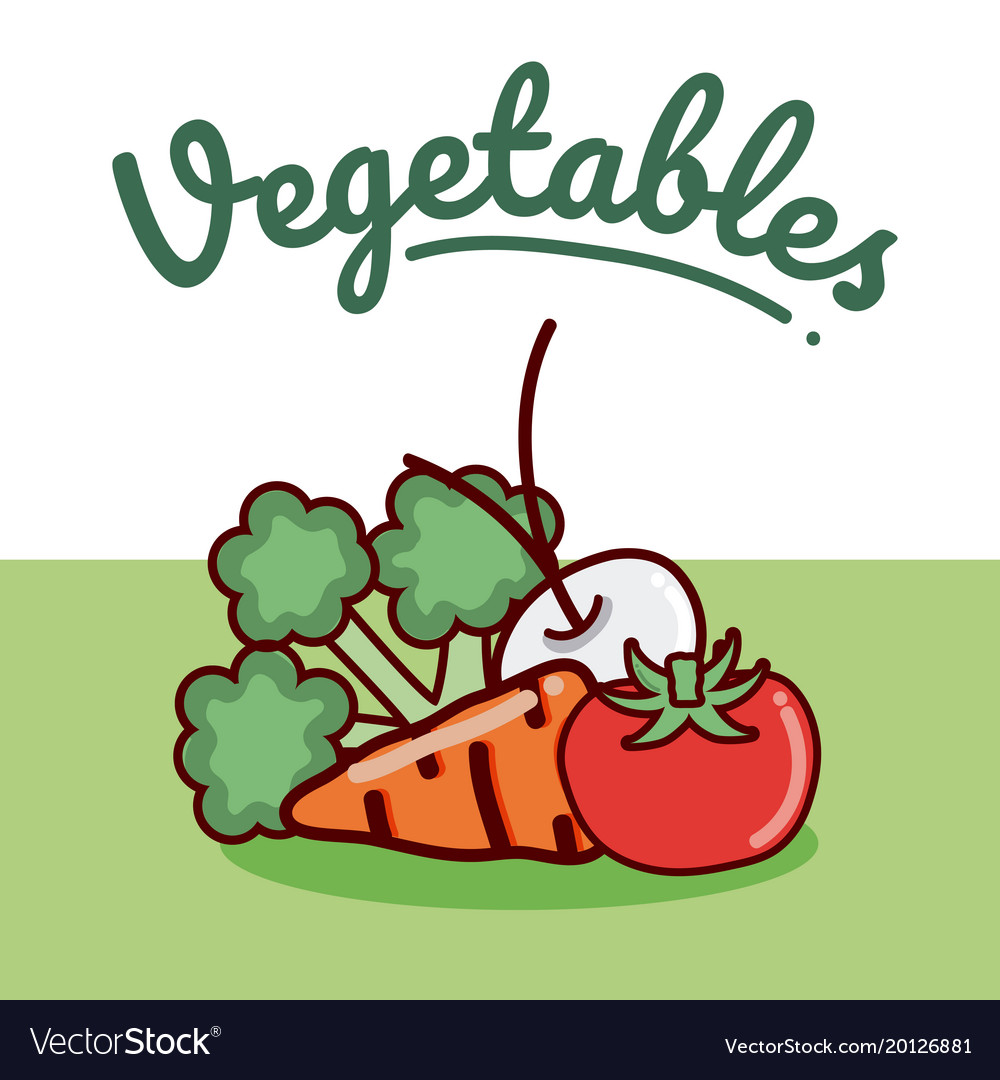 Set of vegetables Royalty Free Vector Image - VectorStock