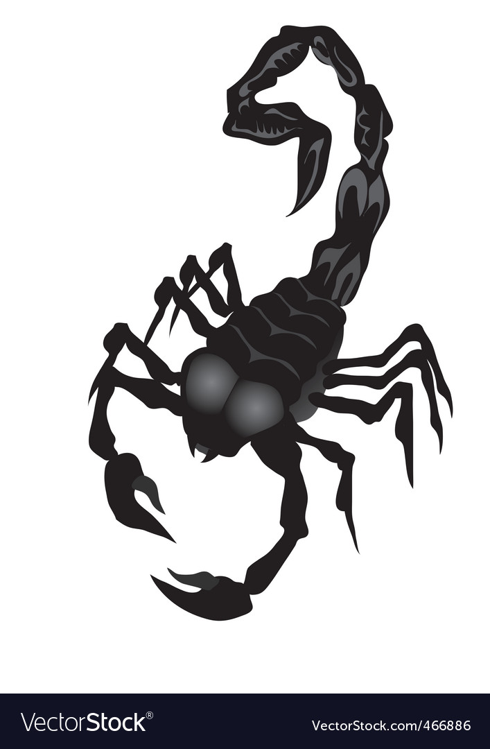 Scorpion Royalty Free Vector Image - VectorStock