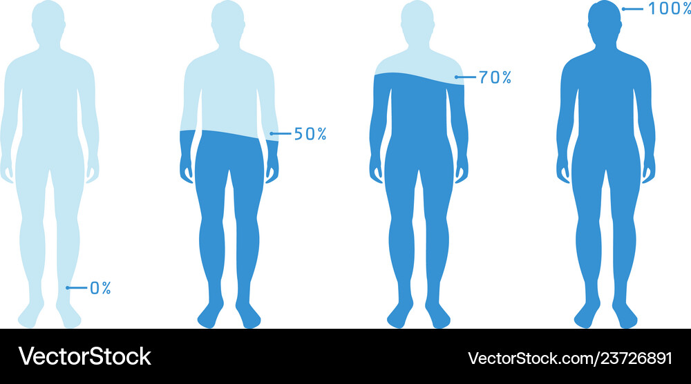 Infographic showing water percentage level Vector Image