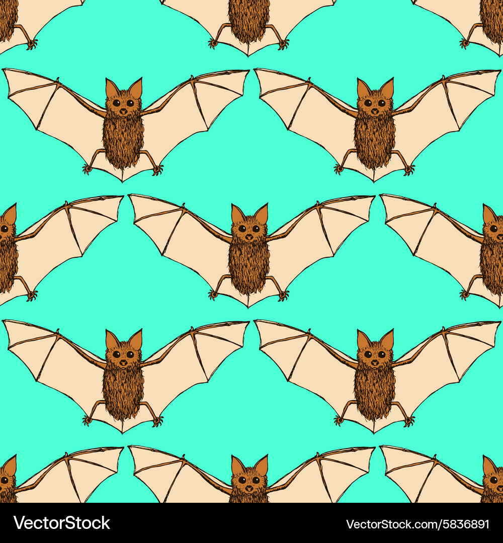 Sketch bat in vintage style Royalty Free Vector Image