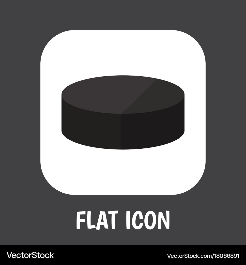 Sport symbol on puck flat Royalty Free Vector Image